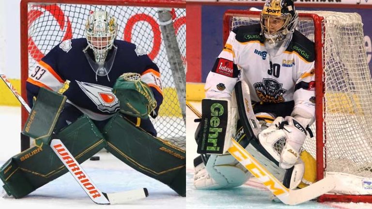 Unveiling the Optimal Save Percentage for Hockey Goalies: A ...